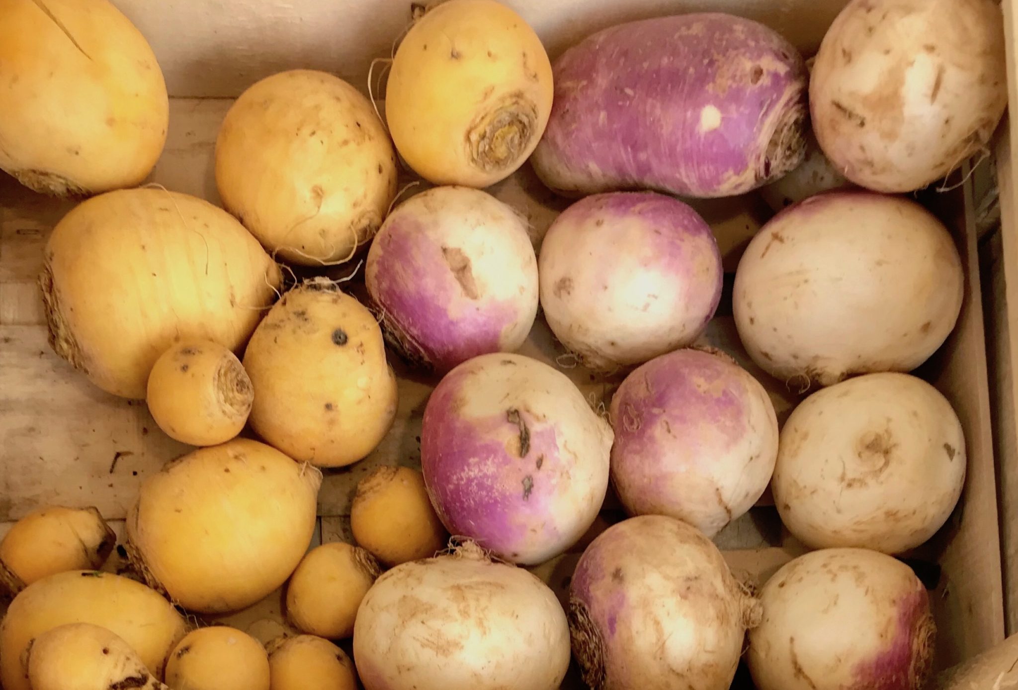 Les légumes oubliés : on les met au goût du jour